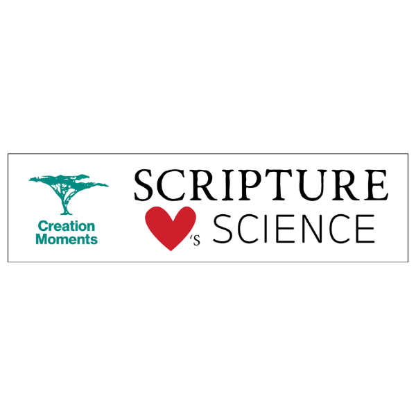 Scripture Loves Science Bumper Sticker